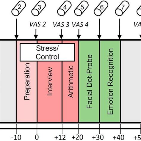 Experimental Procedure Vas Visual Analog Scales Download Scientific Diagram