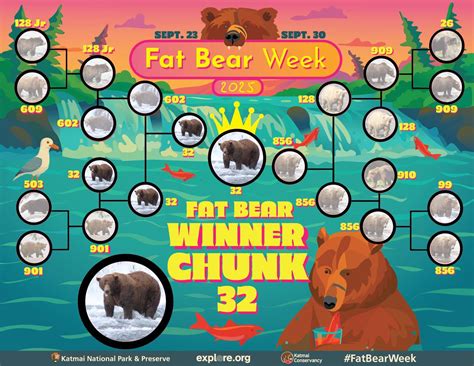 Massive “chunk” Wins Fat Bear Week