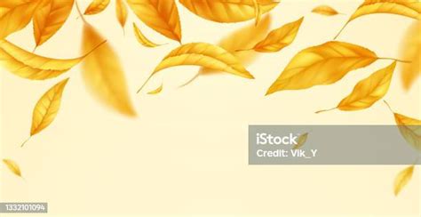 떨어지는 비행 가을 은 배경 노란색 배경에 고립 된 현실적인 가을 노란 잎 가을 판매 배경 벡터 일러스트레이션 0명에 대한 스톡