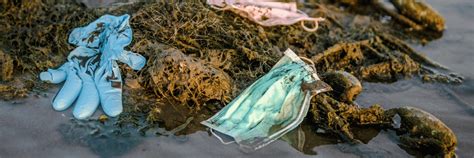 Gcse Igcse The Geo Tutor