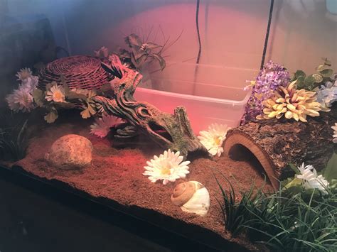 Ball Python Enclosure Reptile Habitat Plastic Grass Ball Python