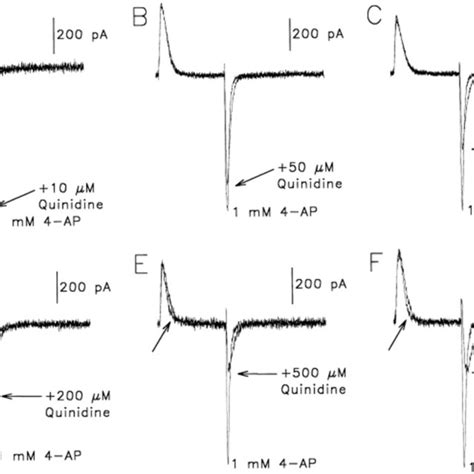 On And Off Gating Currents Igon And Igoff From Hkv15 During 12 Ms Download Scientific