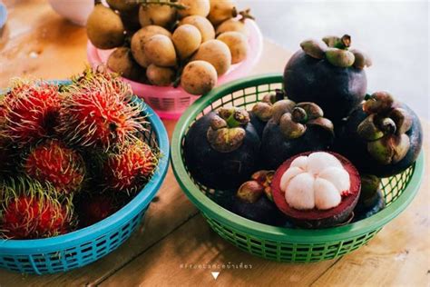 11 แหล่งท่องเที่ยวจังหวัดระยอง อำเภอแกลง วังจันทร์ ยอดฮิต ที่ชาว Pantip เขาคุยกัน Chillnaid