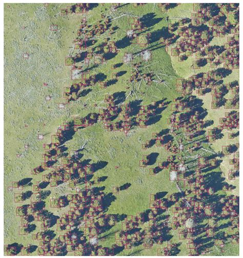 Visualization — Deepforest 1 5 1 Documentation