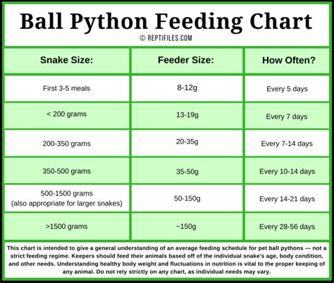 Ball Python Feeding Tips Reptifiles Ball Python Care Guide
