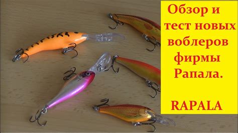 Обзор и тест новых воблеров Рапала RAPALA. Готовимся к сезону. - YouTube