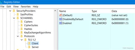 windows服务器tls协议 windows 验证tls1 2是否可用 csdn博客