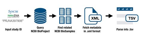 GitHub Angelolimeta BioSampleParser R Tool For Parsing Xml Metadata Obtained Through NCBI