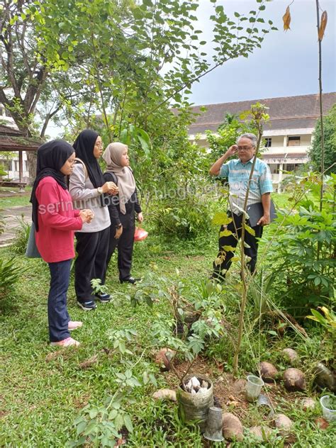 healthy nurul beauty microprocessor class project discussion