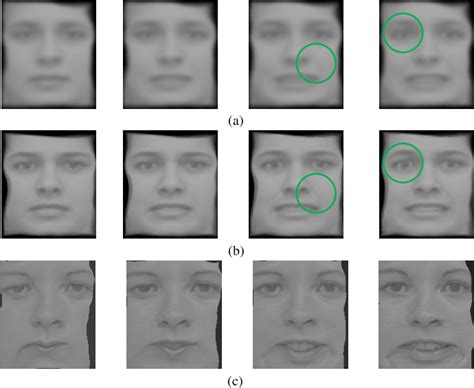 Figure 1 From Dynamic Facial Expression Recognition With Atlas Construction And Sparse