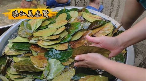 寻探农村传统美食菠萝蜜叶包装的椰丝田艾籺走出广东很难买到 美食 菜谱 好看视频