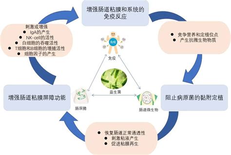 乳制品知识科普系列宣传（八） 立高lims