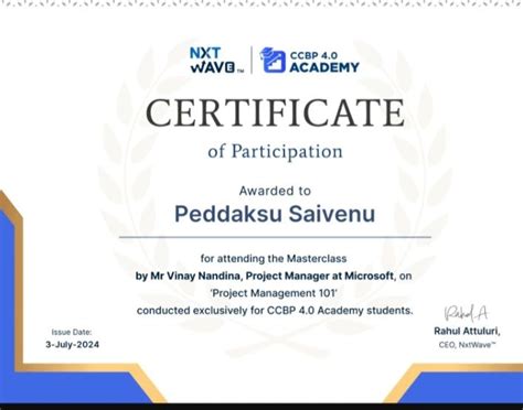 Peddakasu Saivenu On Linkedin Project