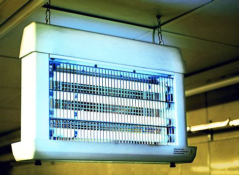 How Does An Insect Zapper Light Work LetsFixIt