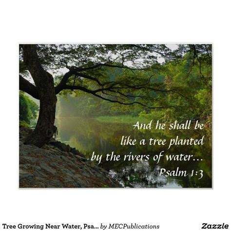 Tree Growing Near Water Psalm 13 Scripture Poster Zazzle
