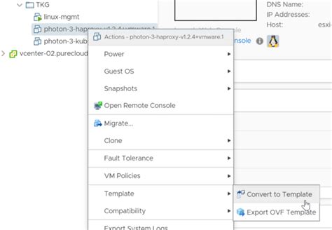 Deploying Vmware Tanzu Kubernetes Grid With Pure Storage Vvols Part I Deploy Tkg On Vsphere