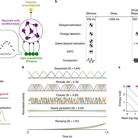 Experimental Setup A Schematic Diagram Of Recurrent Networks The