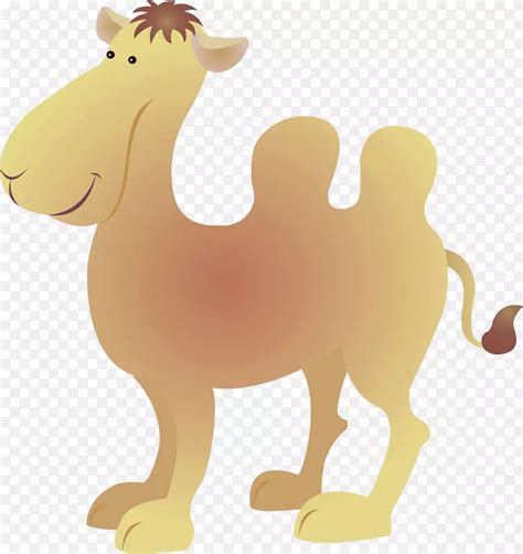 卡通骆驼动物装饰PNG图片素材下载 图片编号yvwebnoq 免抠素材网