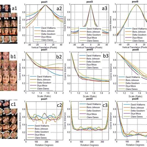 Analysis Of Vertical Translation Scale And Rotation Invariancerows
