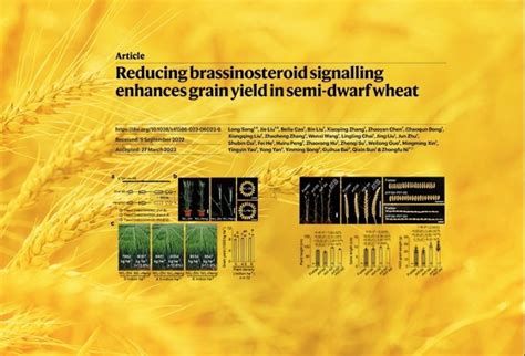 中国农业大学农学院