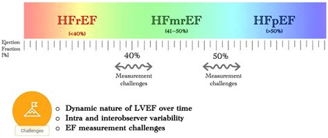 Ejection Fraction Heart