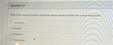 Solved Question 13what Is The Process By Which A Bacterium