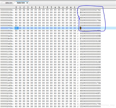 Bin文件数据处理，读取一个文件数据写入另一个文件中bin文件读写泊求古的博客 Csdn博客