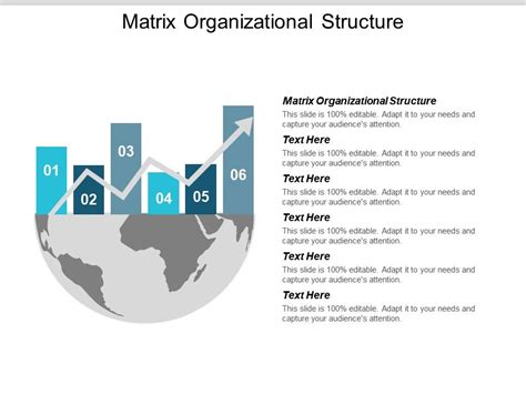 Matrix Organizational Structure Ppt Powerpoint Presentation Layouts