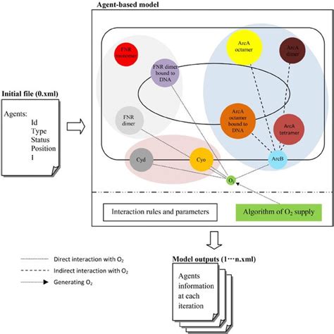 Components And Process Of Agent Based Model Simulation The File 0xml Download Scientific