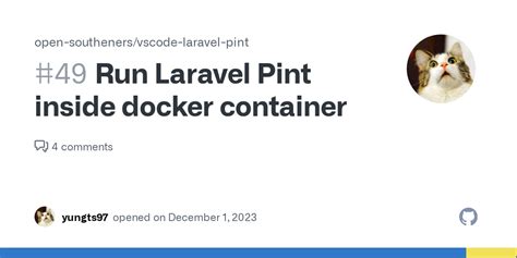 Run Laravel Pint Inside Docker Container · Issue 49 · Open Southeners