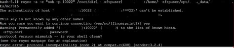 Rsync Issue On Liferay Dxp Cloud Sftp Container · Issue 336 · Atmoz