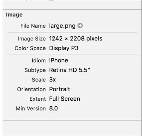 Xcode Whats Wrong With My Asset Catalog Containing Launch Images Stack Overflow