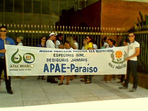 Educadores Apaixonados Por Educação Especial 11 De Dezembro Dia