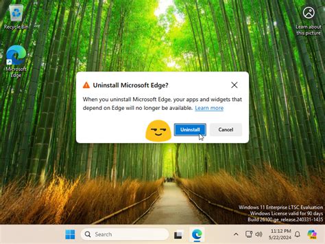 Hot Microsoft Edge Bisa Dihapus Di Windows 11 Enterprise Ltsc Winpoin