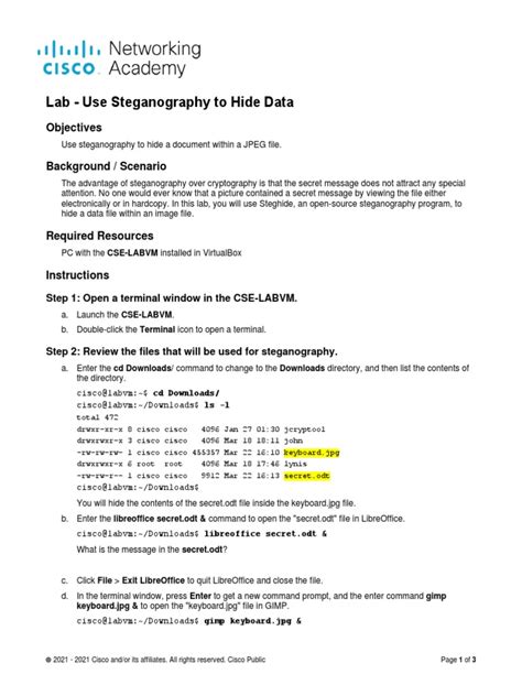 273 Lab Use Steganography To Hide Data Answer Key Pdf Computer File Computer Science