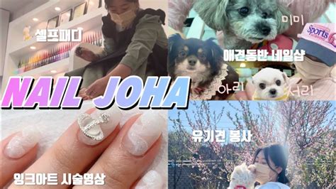 Nail Vlog 강아지 없는 네일샵 원장의 브이로그🐶🤍셀프패디네일시술영상유기견봉사애견동반네일샵20대네일샵원장