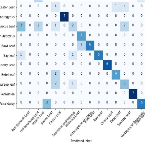 Label Correlation For Prediction Download Scientific Diagram