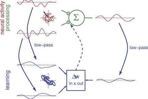 Filtered Hebbian Learning Rule Input And Output Signals Are Filtered