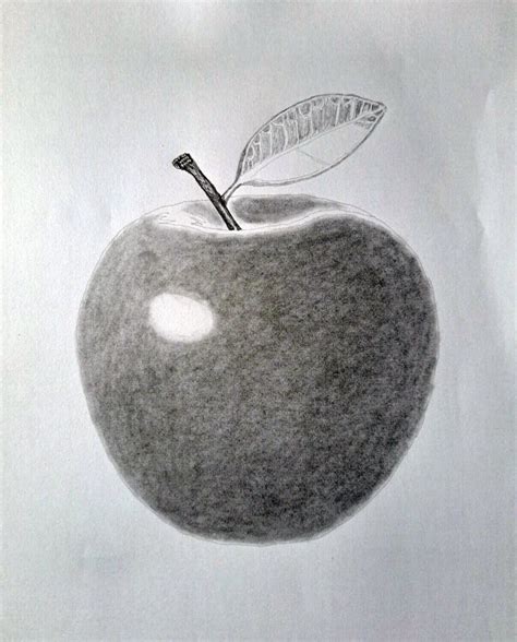 6 Simple Steps On How To Draw An Apple Realistically Muus Art