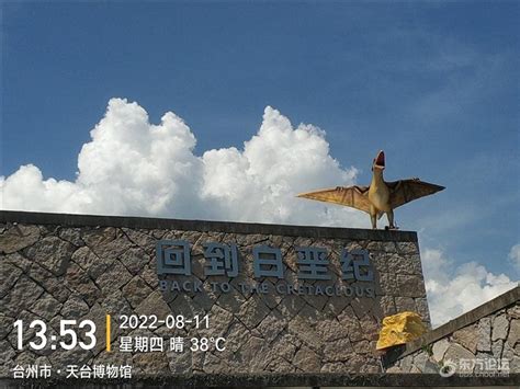 天台博物馆 东论 东方热线·东方论坛 宁波论坛——家长里短写你我身边事