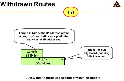 Networking And Scripting Packet Formats To Remember