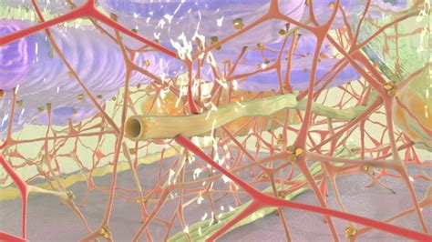 3d Cytoskeleton Cell Turbosquid 1624164