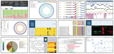 Bacterial And Viral Bioinformatics Resource Center Bv Brc Biocomplexity Institute And Initiative