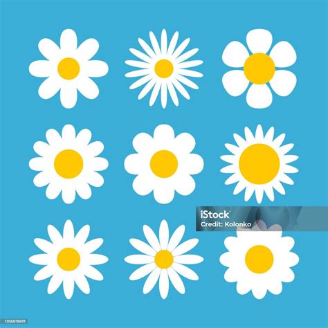 デイジーカモミールベクトル花形イラストアイコンカモミール花漫画のデザイン アイコンのベクターアート素材や画像を多数ご用意 アイコン