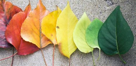 Functional Java By Example Part 4 Prefer Immutability Java Code Geeks