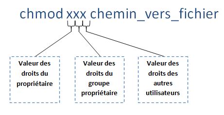 La commande CHMOD Commandes et Système IT Connect