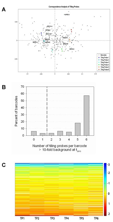 barcode tiling probe performance in negative selection rnai screens a