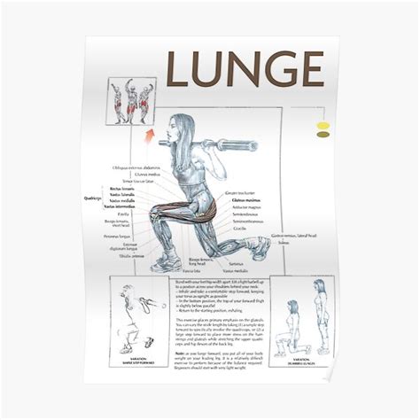 Lunge Exercise Diagram Poster For Sale By Superfitstuff Redbubble