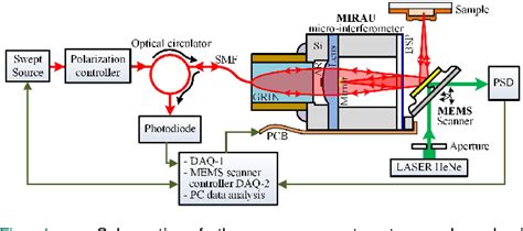Figure 1 From Optical Coherence Tomography Imaging By A Fully