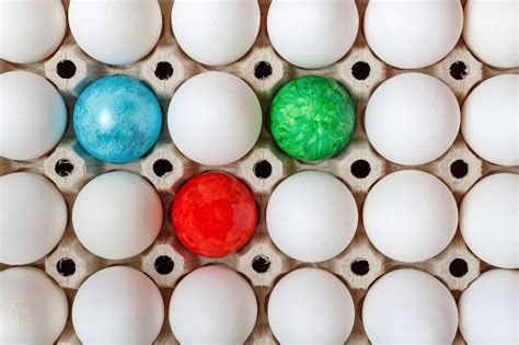 닭고기 계란 판지 트레이에 중 착 색된 부활절 달걀입니다 상위 뷰 0명에 대한 스톡 사진 및 기타 이미지 0명 가금류 가축 Istock